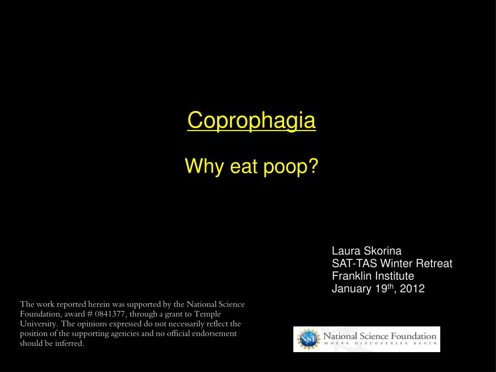 PPT - Coprophagia Why eat poop? PowerPoint Presentation, free download ...