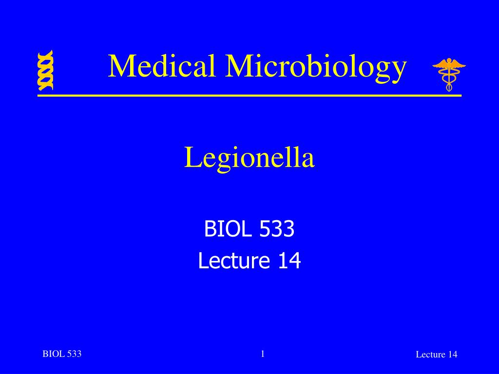 PPT - Legionella PowerPoint Presentation, free download - ID:1424667