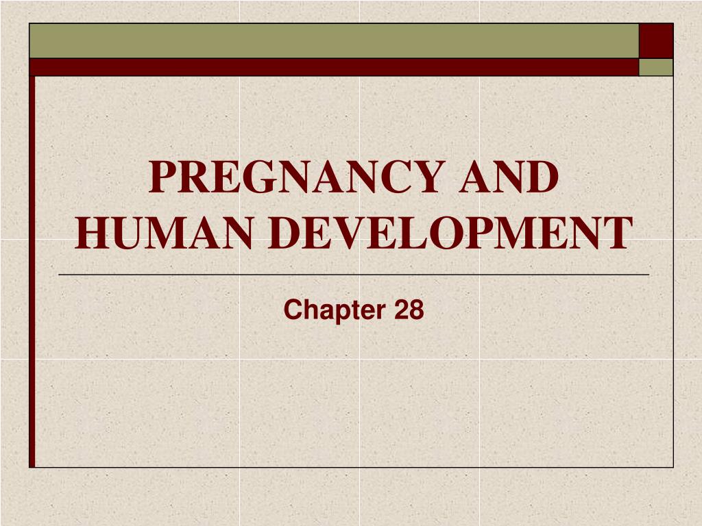 PPT - PREGNANCY AND HUMAN DEVELOPMENT PowerPoint Presentation, free ...