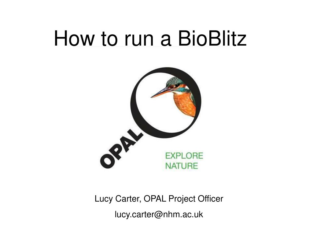 PPT - How to run a BioBlitz PowerPoint Presentation, free download - ID:1425348