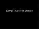 PPT - Energy Transfer During Exercise PowerPoint Presentation, free ...