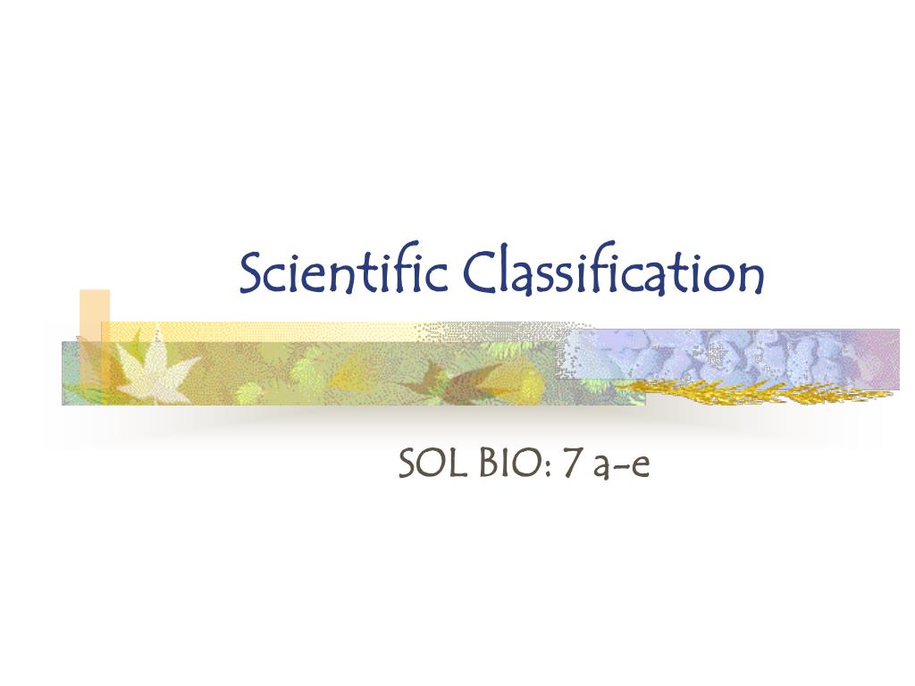 PPT - Scientific Classification PowerPoint Presentation, free download ...