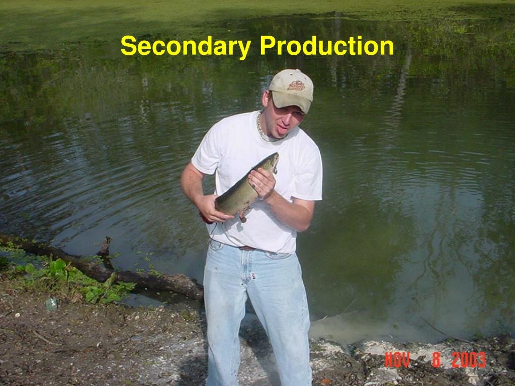 PPT - Secondary Production PowerPoint Presentation, free download - ID ...