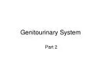 PPT - GENITOURINARY SYSTEM PowerPoint Presentation, free download - ID ...