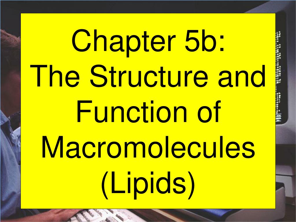 PPT - Chapter 5b: The Structure and Function of Macromolecules (Lipids ...
