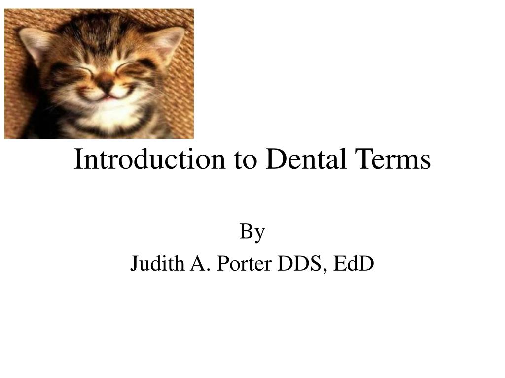 PPT - Introduction to Dental Terms PowerPoint Presentation, free ...