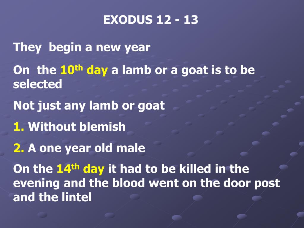 PPT - EXODUS 12 - 13 PowerPoint Presentation, free download - ID:1430944