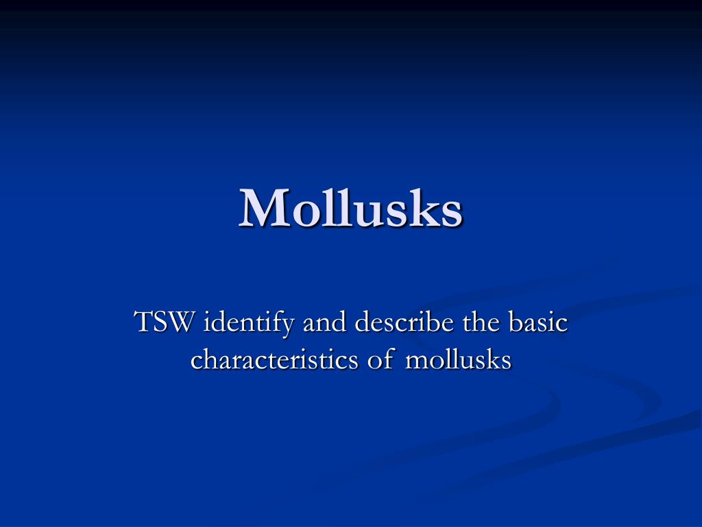 PPT - Mollusks PowerPoint Presentation, free download - ID:1430991