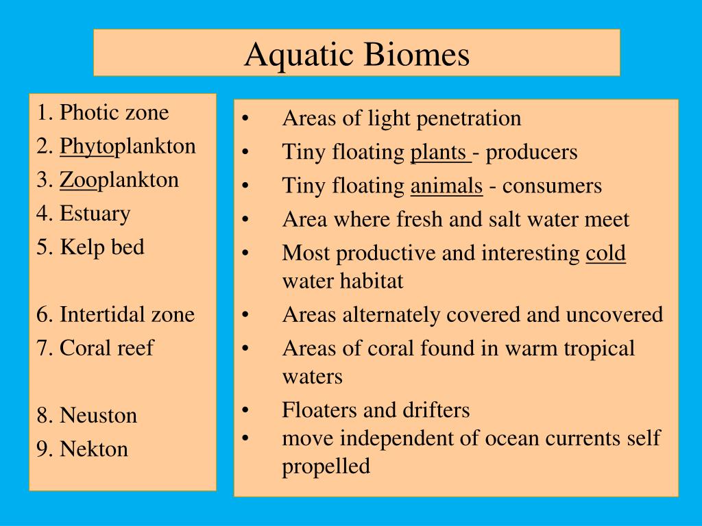 PPT - Aquatic Biomes PowerPoint Presentation, free download - ID:1431525