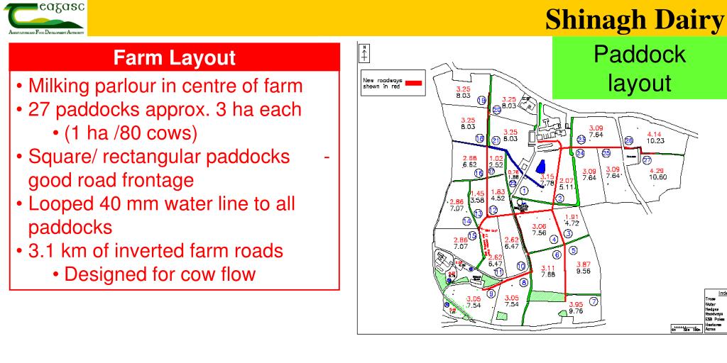 PPT - Paddock layout PowerPoint Presentation, free download - ID:1432872