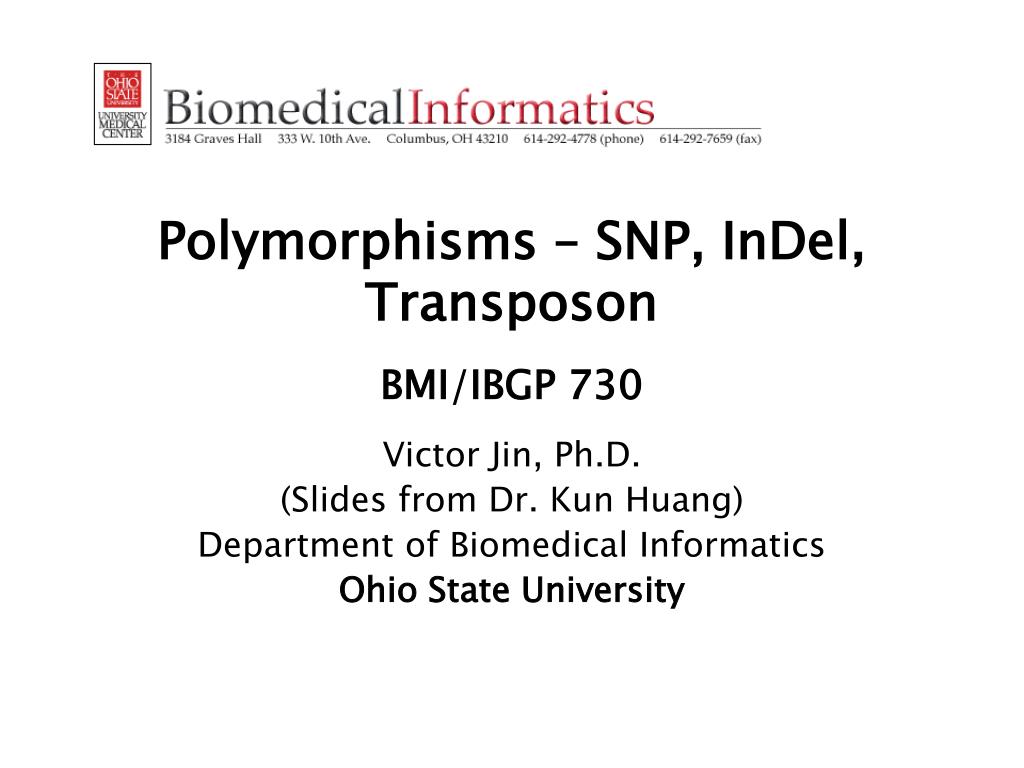 PPT - Polymorphisms – SNP, InDel, Transposon BMI/IBGP 730 PowerPoint Presentation - ID:1433287