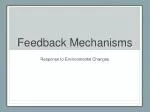PPT - FEEDBACK MECHANISMS PowerPoint Presentation, free download - ID ...