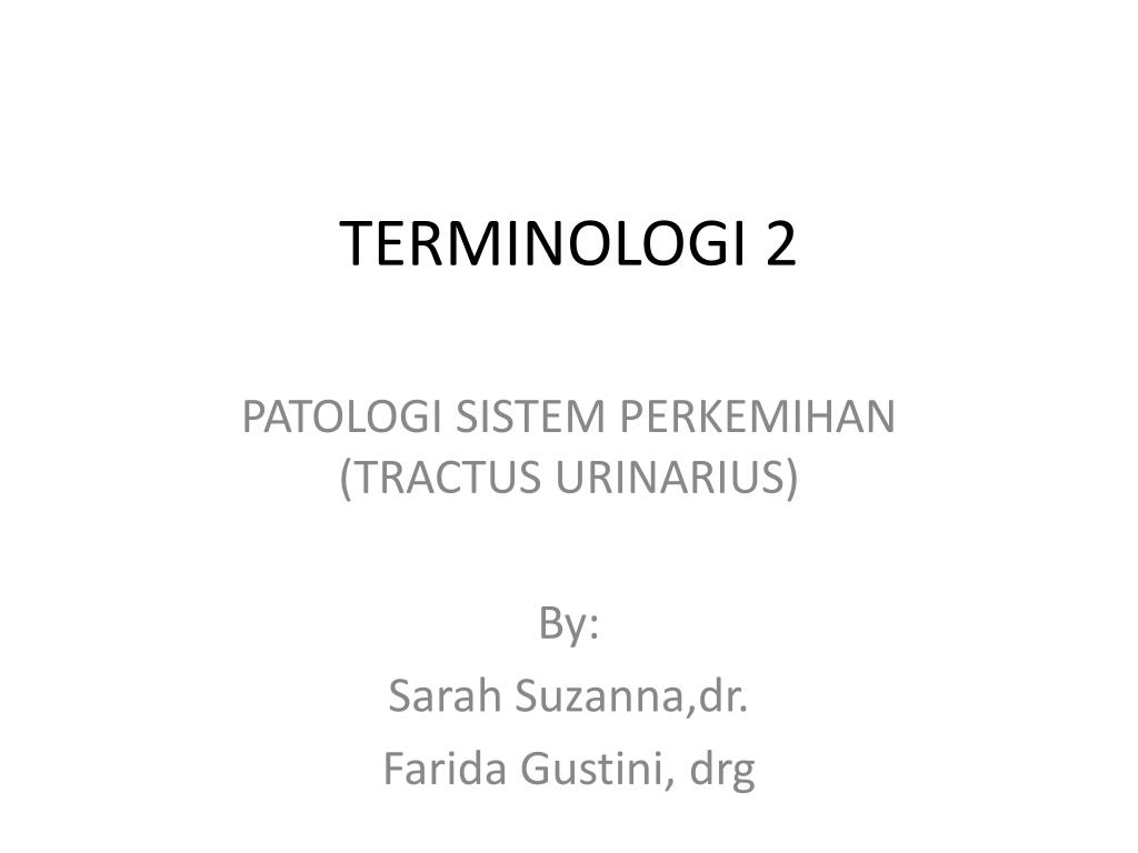 PPT - TERMINOLOGI 2 PowerPoint Presentation, free download - ID:1438227