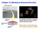 PPT - Chapter 12 CPU Structure and Function PowerPoint Presentation ...