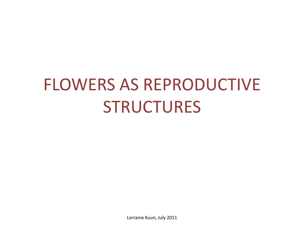 PPT - Understanding Flower Reproductive Structures and Pollination ...