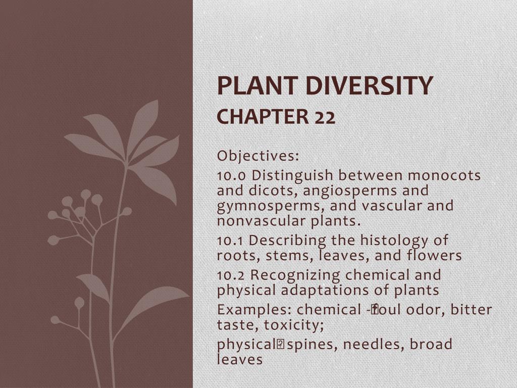 PPT - Plant diversity Chapter 22 PowerPoint Presentation, free download ...