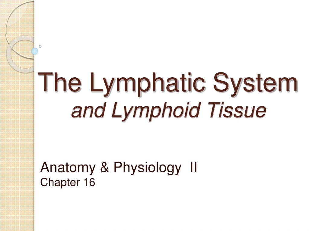 PPT - The Lymphatic System and Lymphoid Tissue PowerPoint Presentation ...