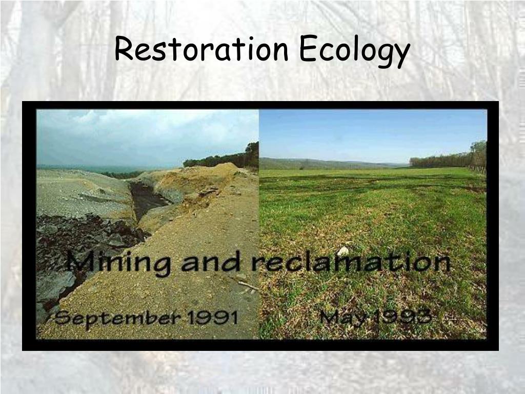 PPT - Restoration Ecology PowerPoint Presentation, free download - ID ...