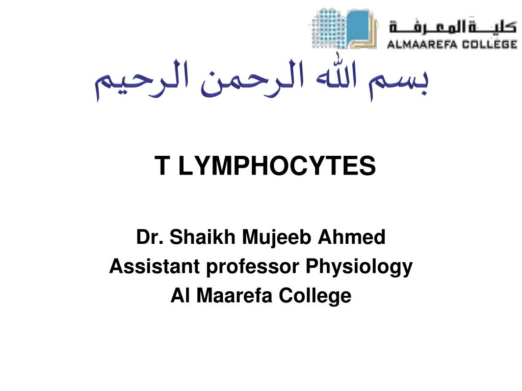 PPT - T LYMPHOCYTES PowerPoint Presentation, free download - ID:1442085