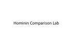 PPT - Hominin Evolution - Classification PowerPoint Presentation, free ...