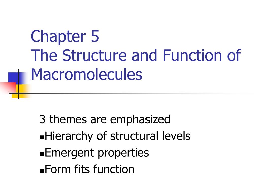PPT - Chapter 5 The Structure and Function of Macromolecules PowerPoint ...