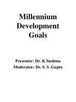 PPT - Millennium Development Goals PowerPoint Presentation, free ...