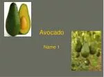 PPT - Avocado Festival PowerPoint Presentation, free download - ID:6575871