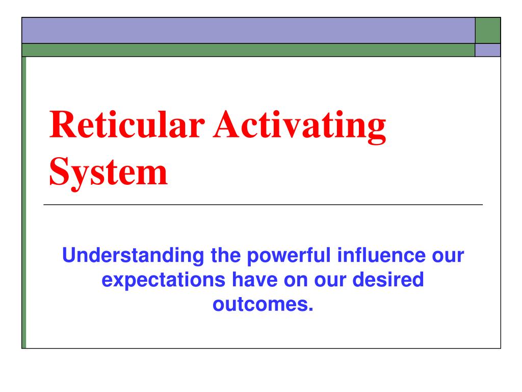 PPT - Unlocking the Power Within: Understanding the Reticular ...