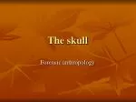 PPT - Positioning of the Skull PowerPoint Presentation, free download ...