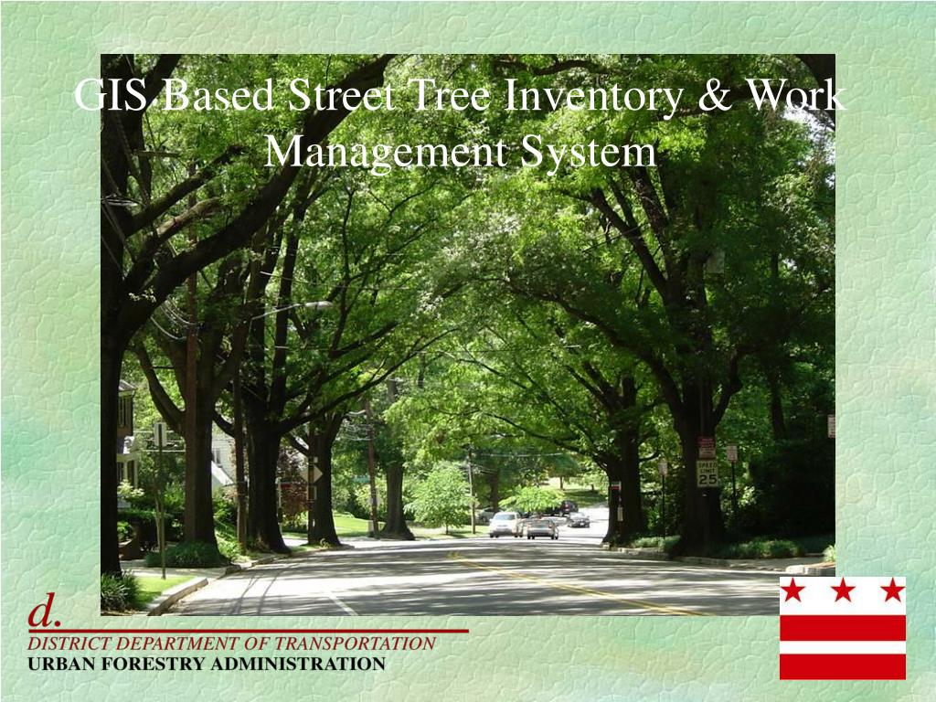 PPT - GIS Based Street Tree Inventory & Work Management System ...
