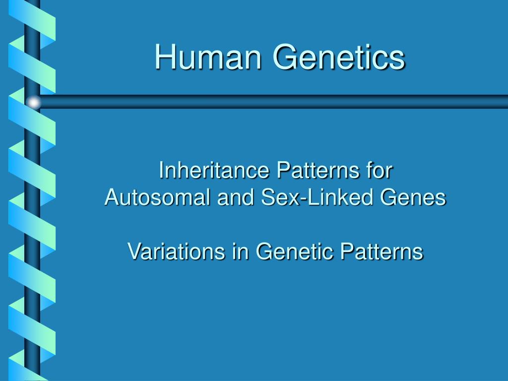 Ppt Human Genetics Powerpoint Presentation Free Download Id1447706 0608