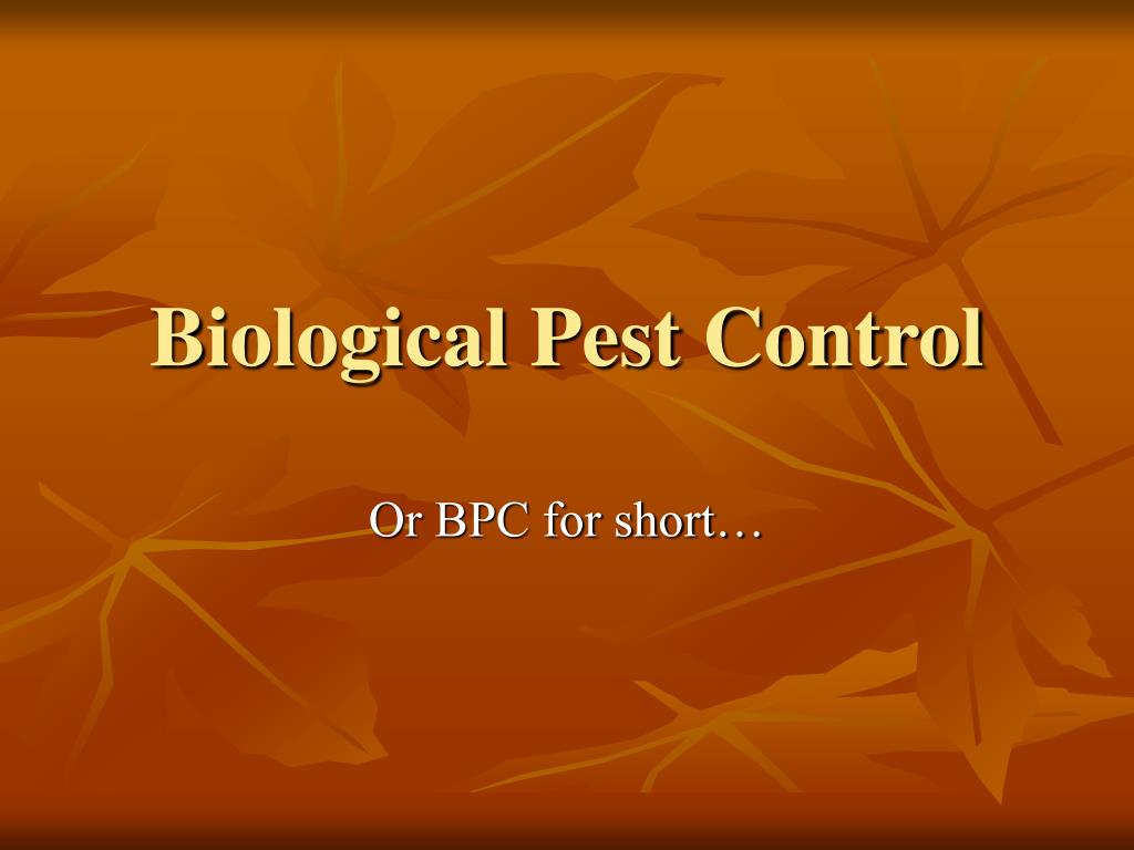 PPT - Biological Pest Control PowerPoint Presentation, free download ...
