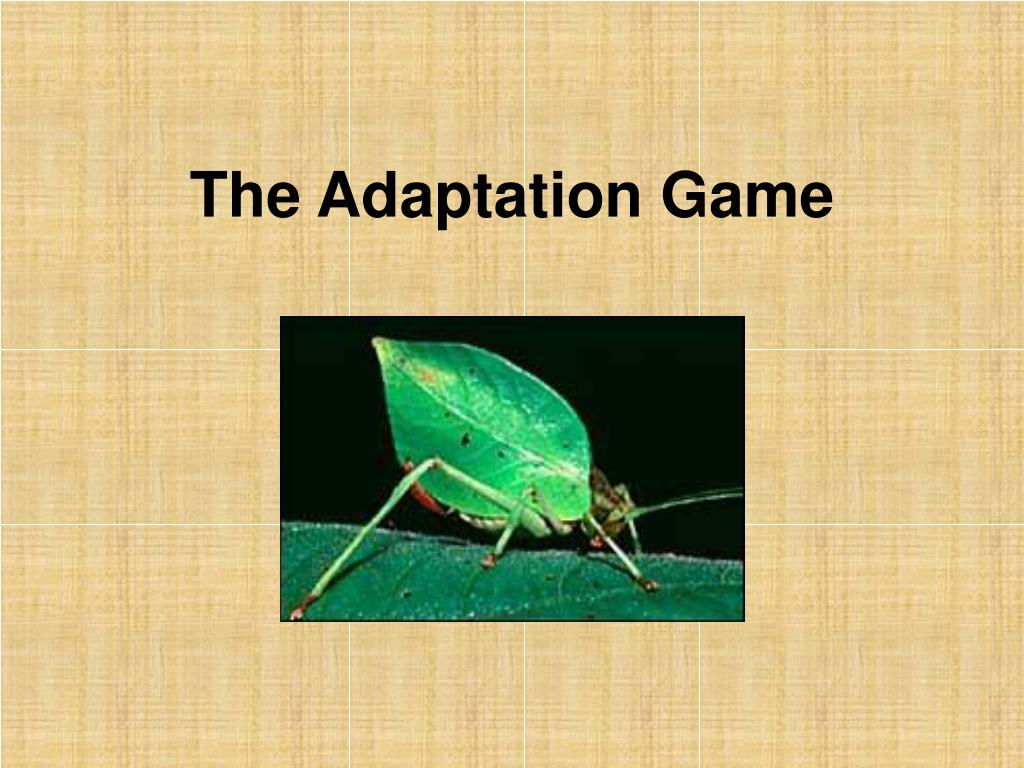 PPT - The Adaptation Game PowerPoint Presentation, free download - ID ...