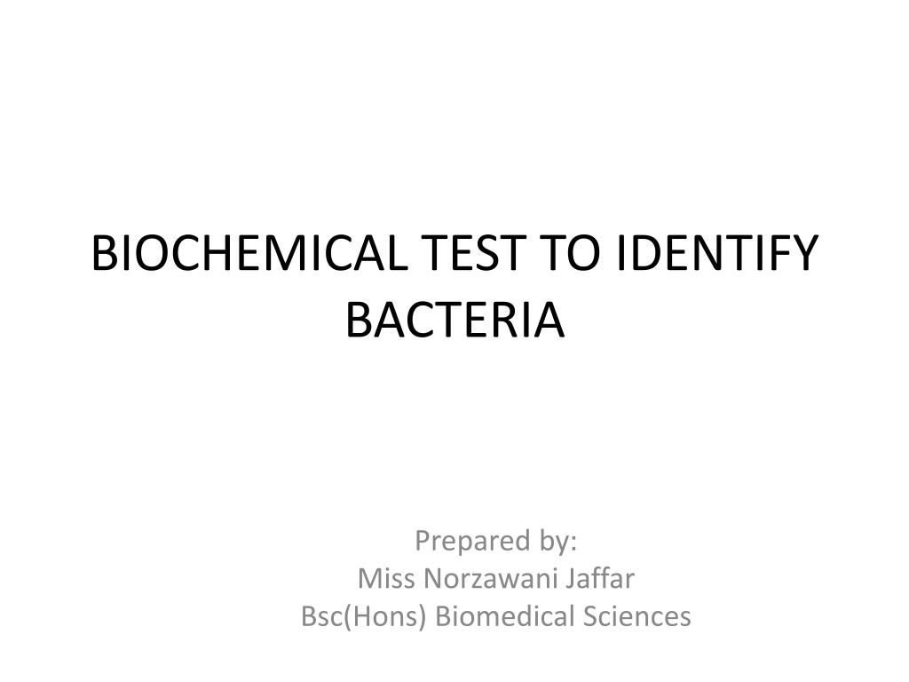 PPT - BIOCHEMICAL TEST TO IDENTIFY BACTERIA PowerPoint Presentation ...