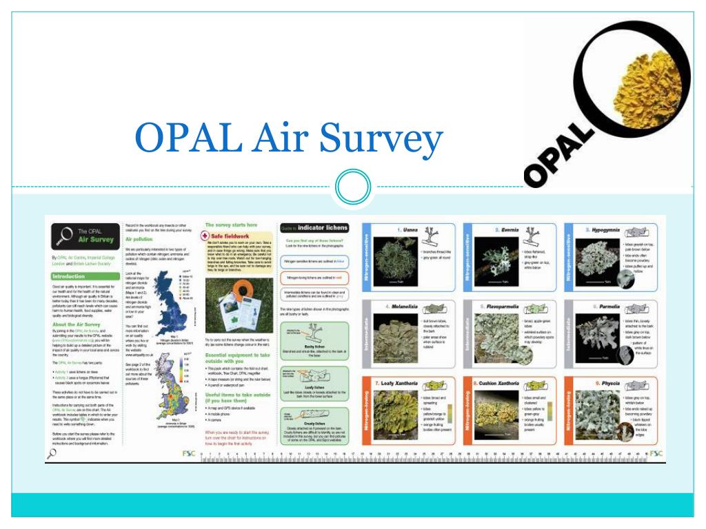 PPT - OPAL Air Survey PowerPoint Presentation, free download - ID:1450158