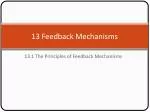 PPT - FEEDBACK MECHANISMS PowerPoint Presentation, free download - ID ...
