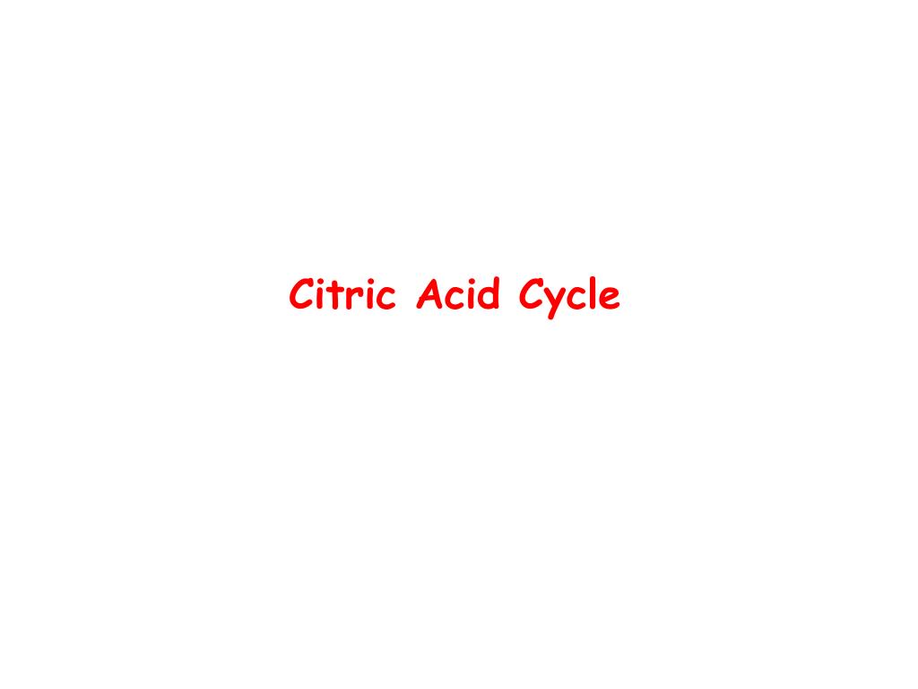 PPT - Citric Acid Cycle PowerPoint Presentation, free download - ID:1451579