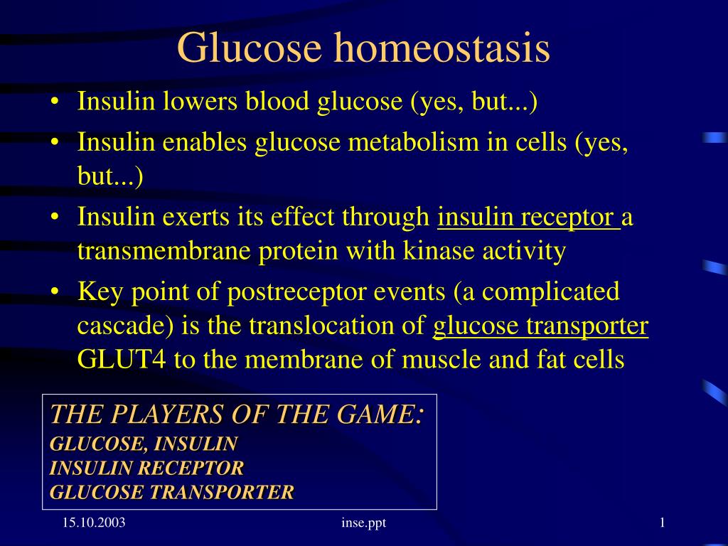 PPT - Glucose homeostasis PowerPoint Presentation, free download - ID ...