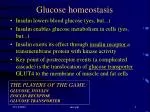 PPT - Glucose Homeostasis PowerPoint Presentation, free download - ID ...
