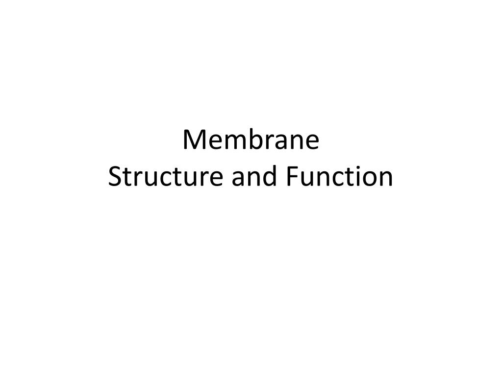 PPT - Membrane Structure and Function PowerPoint Presentation, free ...