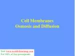 PPT - Agar Cell Diffusion PowerPoint Presentation, free download - ID ...