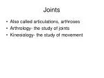 PPT - Chapter 9 Joints PowerPoint Presentation, free download - ID:3130113