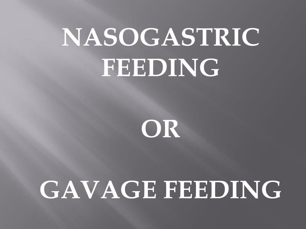 PPT - NASOGASTRIC FEEDING OR GAVAGE FEEDING PowerPoint Presentation ...
