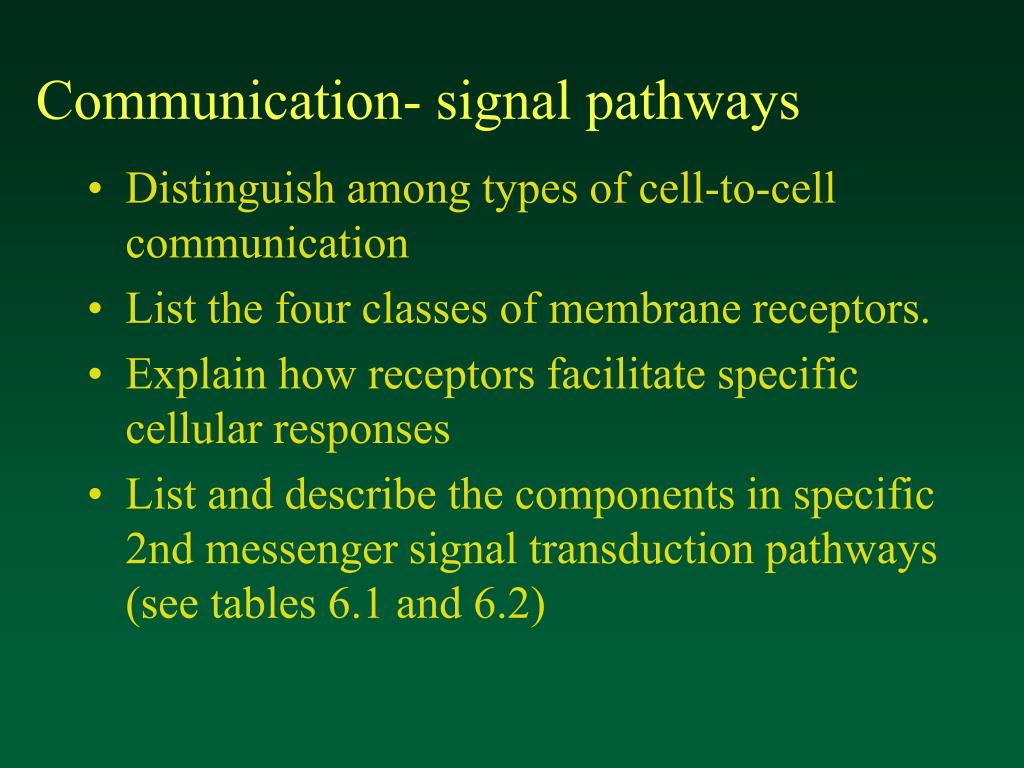 PPT - Communication- signal pathways PowerPoint Presentation, free ...