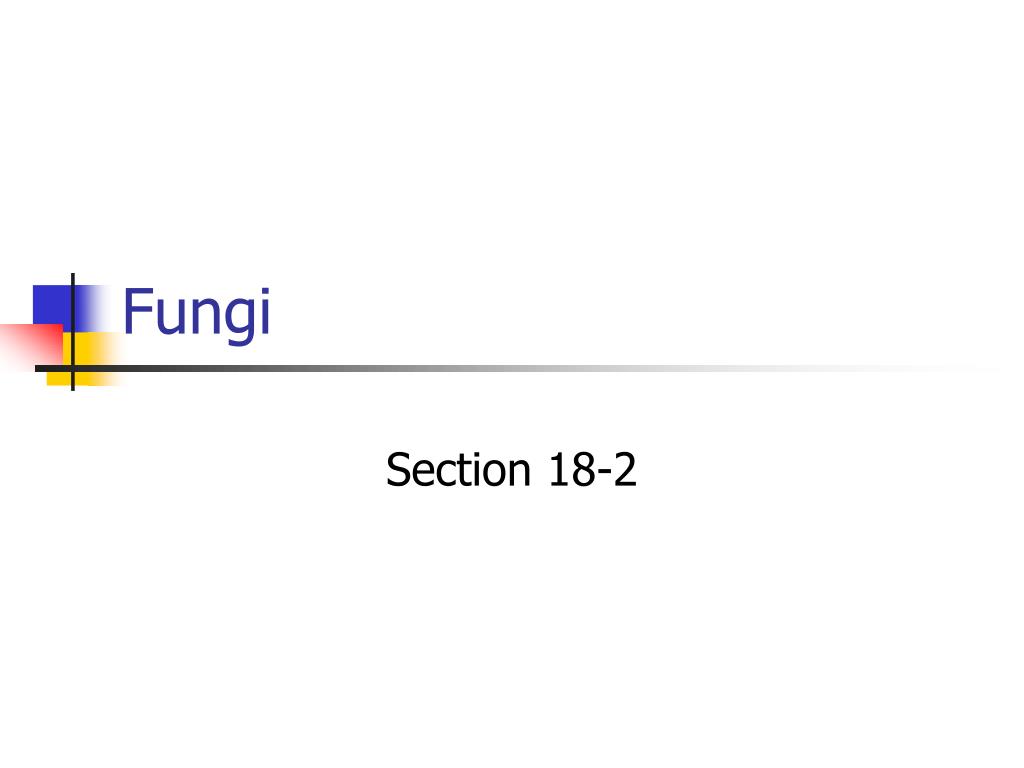 PPT - Fungi PowerPoint Presentation, free download - ID:1459554