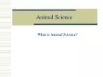 PPT - Animal Science PowerPoint Presentation, free download - ID:204813