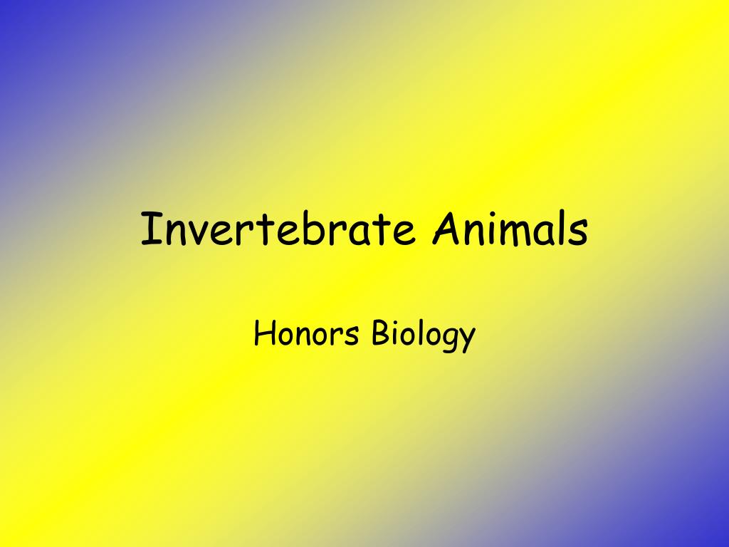 PPT - Invertebrate Animals PowerPoint Presentation, free download - ID ...