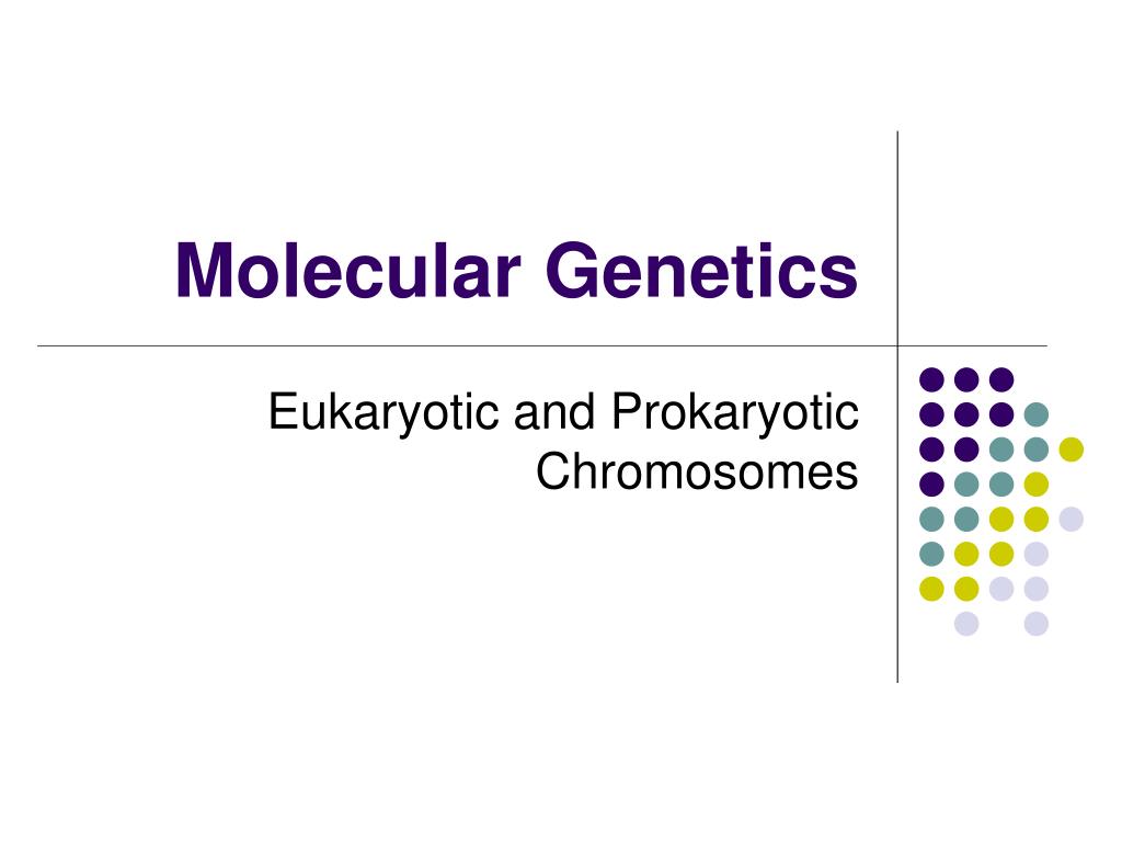 PPT - Molecular Genetics PowerPoint Presentation, free download - ID ...