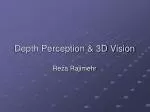 PPT - 3D Space Perception (aka Depth Perception) PowerPoint Presentation - ID:1522399