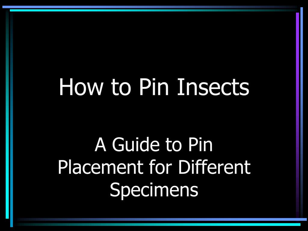 PPT - How to Pin Insects PowerPoint Presentation, free download - ID ...